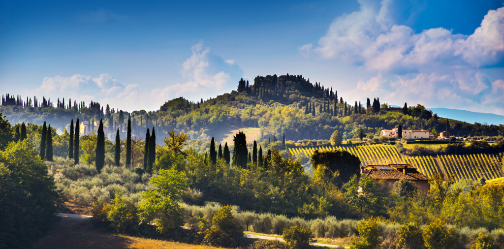 Sagre e feste in Toscana 2026: il calendario completo